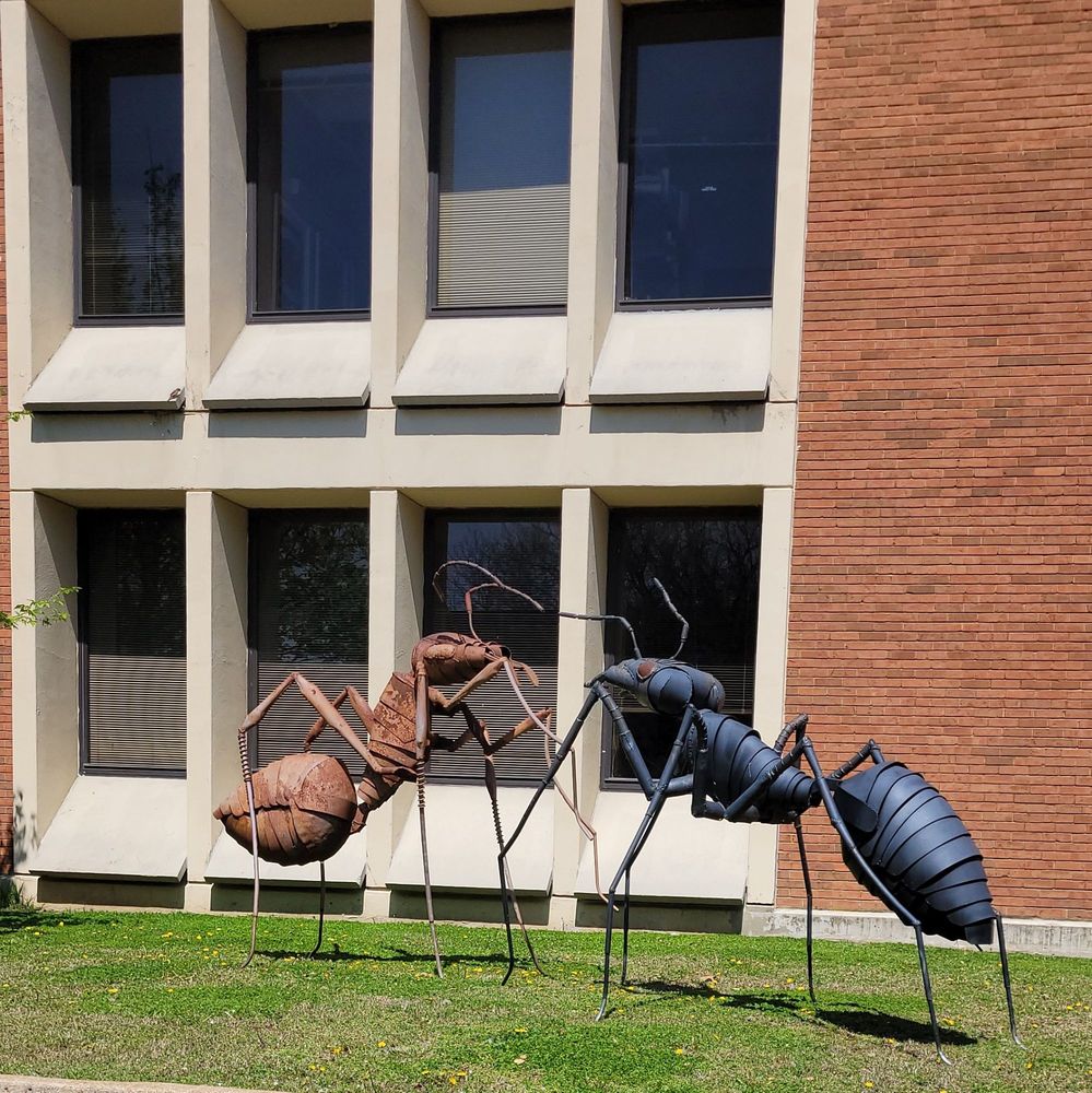 ST. LOUIS COMMUNITY COLLEGE MERAMEC CAMPUS - Updated October 2025 - 13 ...