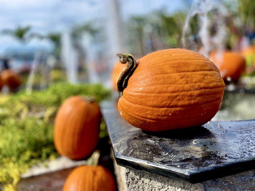 BELLO POULTRY MARKET - Updated January 2026 - 202 Photos & 46 Reviews ...