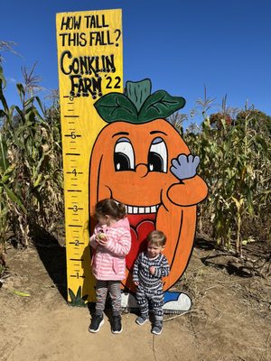 CONKLIN FARM U-PICK - Updated October 2025 - 105 Photos & 40 Reviews ...