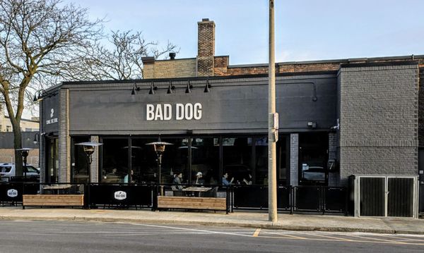 BAD DOG BAR & GRILL - Updated June 2025 - 229 Christina Street N ...