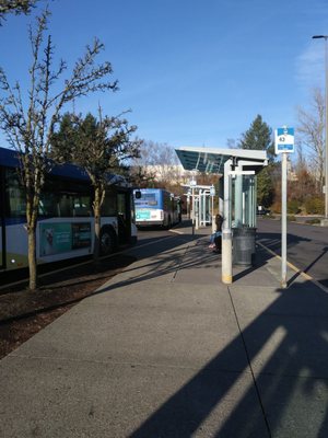 WASHINGTON SQUARE TRANSIT CENTER - Updated December 2025 - 9585 SW ...