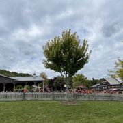 SPRINGRIDGE FARM - 143 Photos & 33 Reviews - 7256 Bell School Line ...