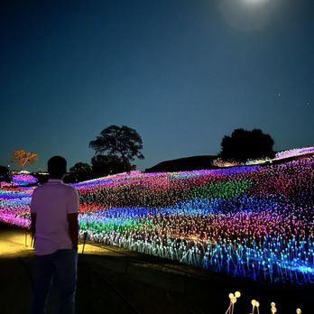 SENSORIO - Updated April 2025 - 2849 Photos & 585 Reviews - 4380 Hwy 46 ...