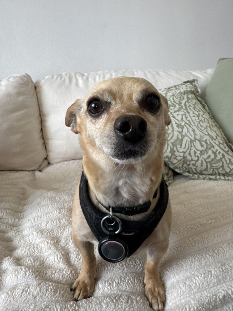 COMFY HOME - Updated January 2026 - 320 Photos & 37 Reviews - Anaheim ...