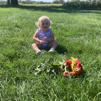 TEMPLE HALL FARM PARK - Updated October 2025 - 57 Photos & 25 Reviews ...