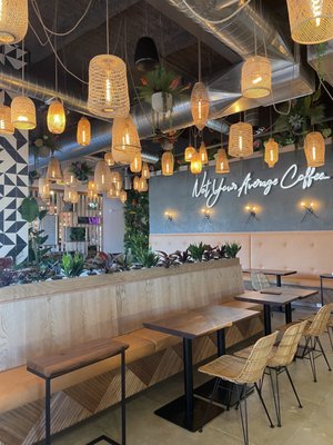 WILD - 509 Photos & 151 Reviews - 2121 N Shepherd Dr, Houston, TX - Yelp