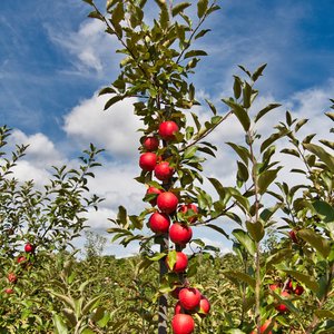 BATTLEVIEW ORCHARDS - Updated July 2024 - 573 Photos & 252 Reviews - 91 ...