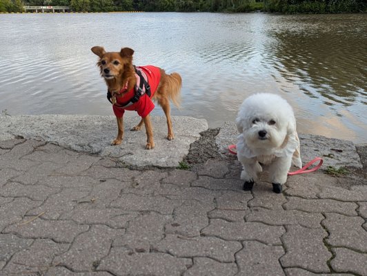 TOOGOOD POND - Updated December 2025 - 155 Photos & 40 Reviews - 280 ...