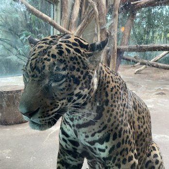 MESKER PARK ZOO & BOTANIC GARDEN - Updated August 2025 - 262 Photos & 40 Reviews - 1545 Mesker ...