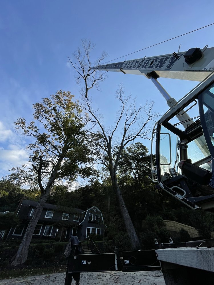 JJ TREE SERVICE - 14 Photos - Gibsonia, Pennsylvania - Tree Services ...