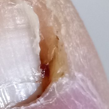 TRACY BASSO - Updated July 2025 - 15 Photos & 37 Reviews - 635 Anderson ...