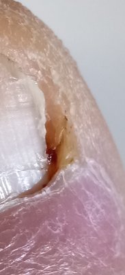 TRACY BASSO - Updated July 2025 - 15 Photos & 37 Reviews - 635 Anderson ...