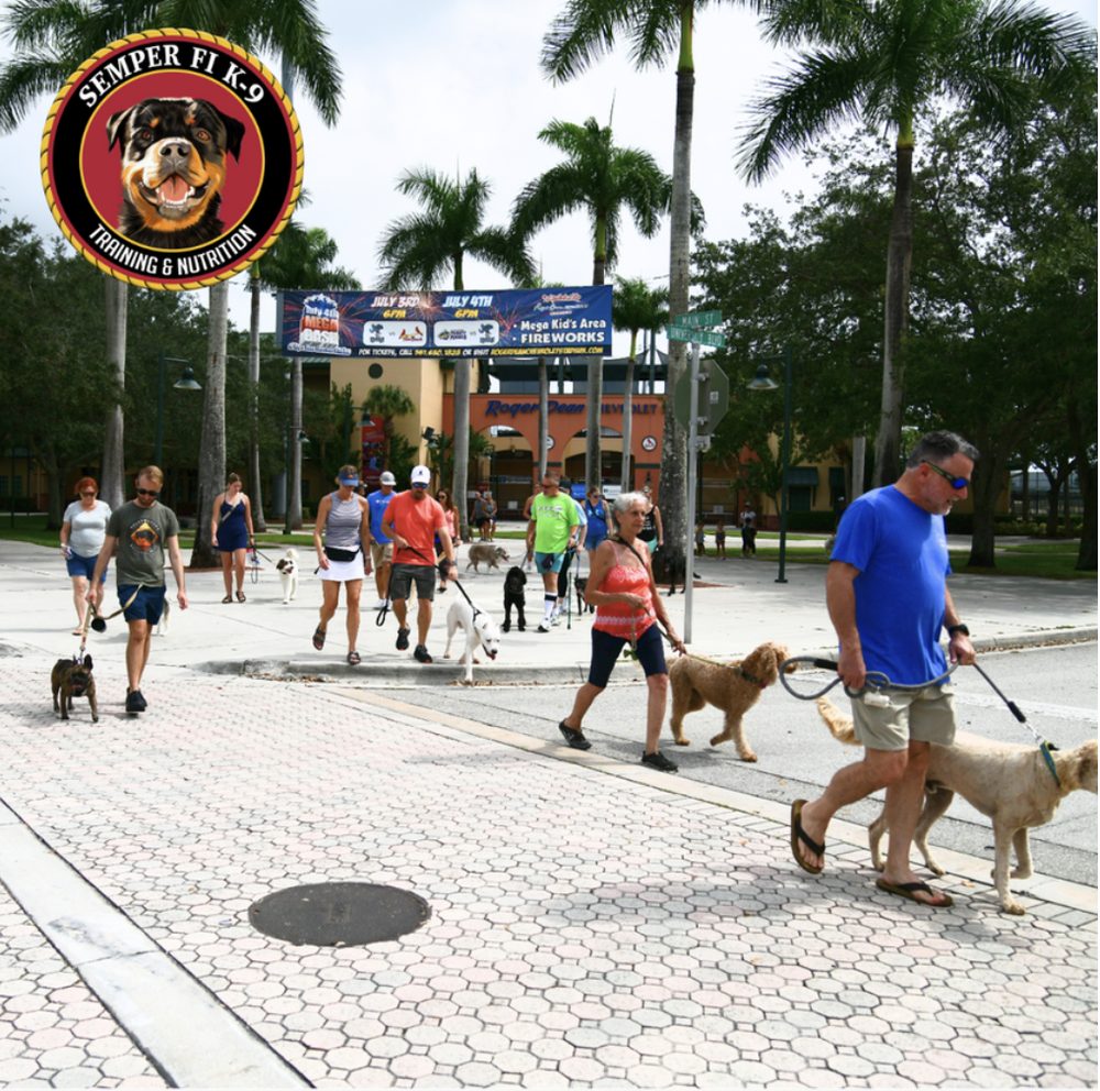 SEMPER FI K9 TRAINING & NUTRITION - Updated December 2025 - Port St ...
