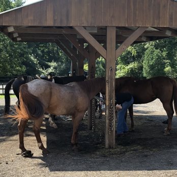 RED BUFFALO RANCH - Updated October 2025 - 69 Photos & 62 Reviews ...