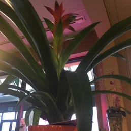 ROYAL MANDARIN EXPRESS - Updated December 2025 - 59 Photos & 82 Reviews ...