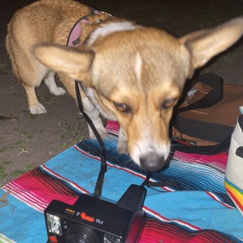 PALMER SQUARE - Updated December 2025 - 42 Photos & 35 Reviews - W ...