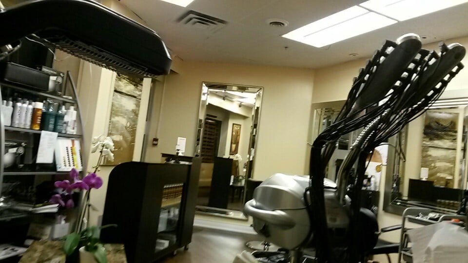THE COLOR HAIR SALON - Updated June 2026 - 1033 Bay Street, Toronto ...