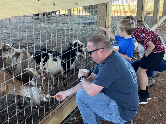 CIRCLE M LIVESTOCK SAFARI PARK - Updated August 2025 - 27 Photos - Shelby, North Carolina ...