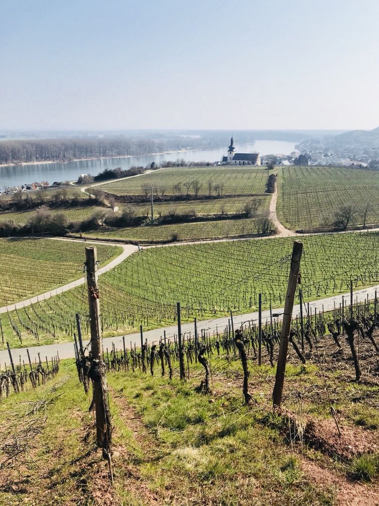 NIERSTEIN - Updated April 2024 - Nierstein, Rheinland-Pfalz, Germany ...