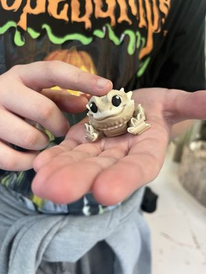 DFW REPTARIUM - Updated December 2025 - 97 Photos & 105 Reviews - 2220 ...