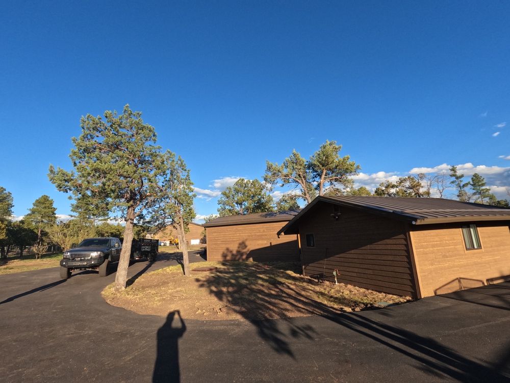 LUMBERJACKS - Updated December 2025 - 10 Photos - Payson, Arizona ...