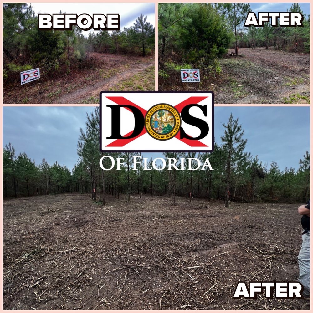 DIVERSIFIED OUTDOOR SERVICES OF FLORIDA - Updated April 2024 - 10 ...