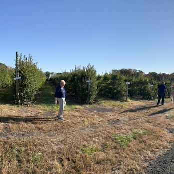 TERHUNE ORCHARDS - Updated September 2024 - 566 Photos & 368 Reviews ...