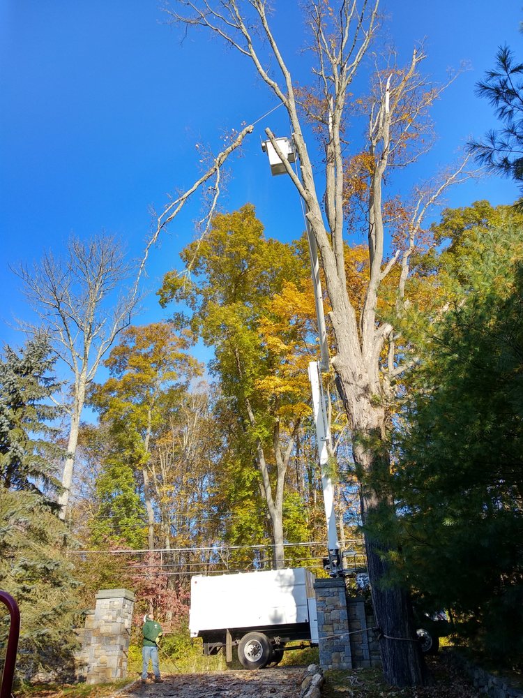 CHRISTIAN TREE SERVICE - Updated November 2025 - 21 Photos - 55 W ...