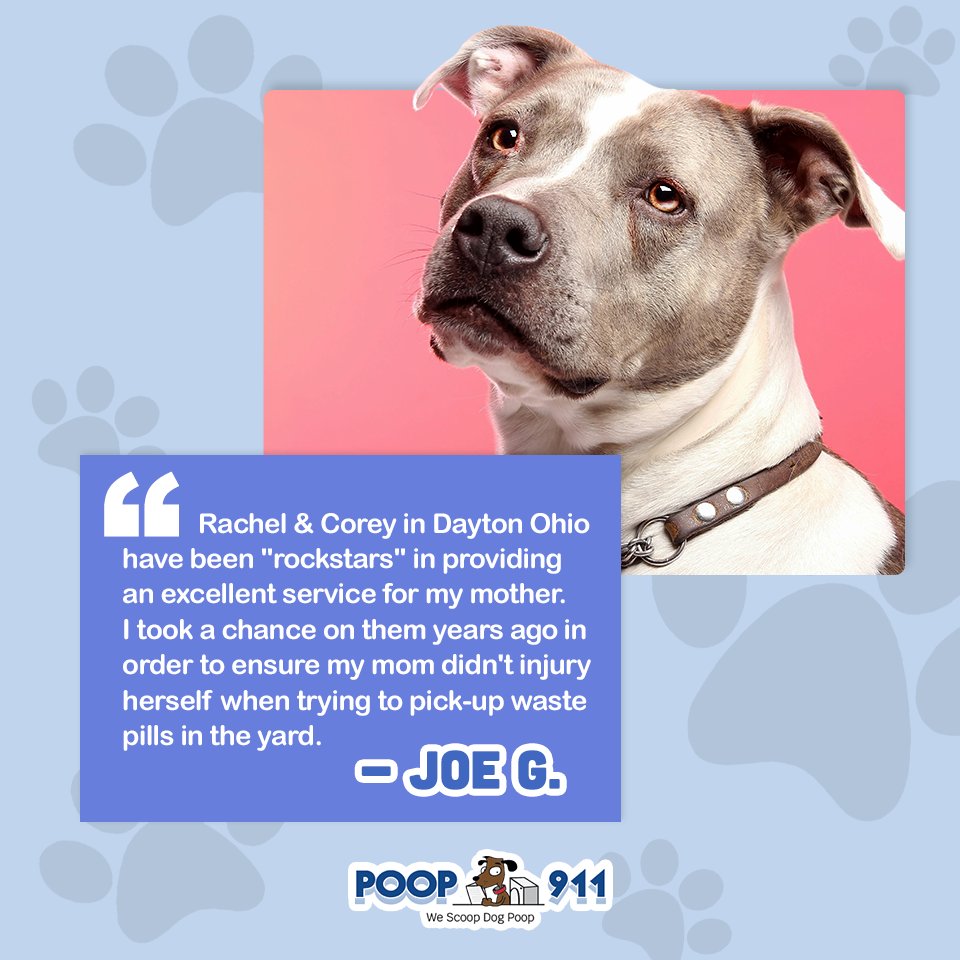 POOP 911 - Updated February 2025 - 10 Photos - White House Station, New ...