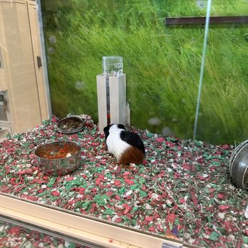 PETSMART - Updated May 2024 - 128 Photos & 179 Reviews - 730 S ...