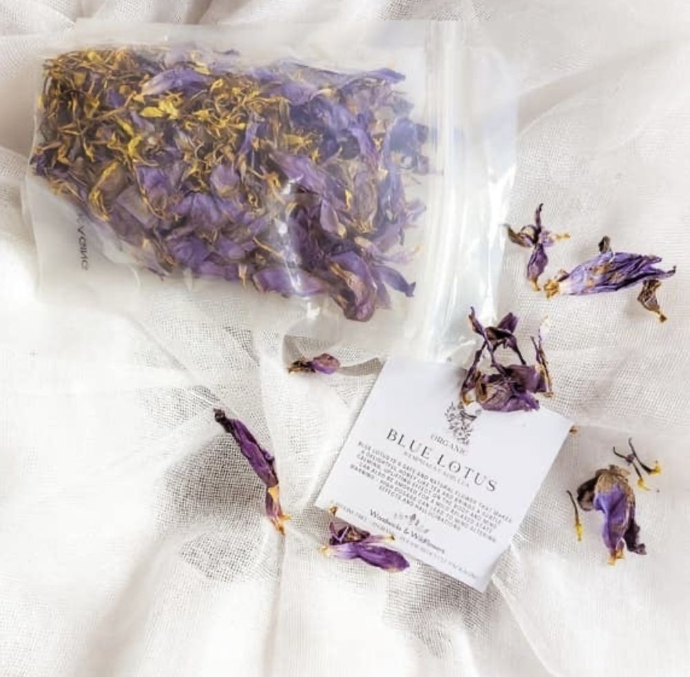 SOUTHERN PURE - Updated January 2026 - 33 Photos - 2150 Northwoods Blvd ...