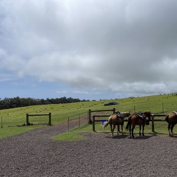 NA’ALAPA STABLES - Updated July 2024 - 200 Photos & 107 Reviews - 59 ...