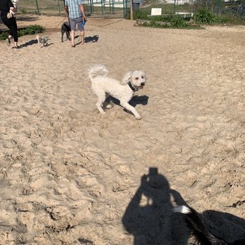 BAYVIEW DOG BEACH - Updated December 2025 - 88 Photos & 58 Reviews ...