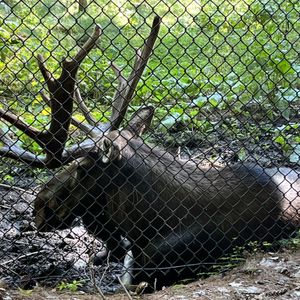 FUNZ TRAMPOLINE PARK - Updated May 2025 - 16 Reviews - 40 E Ave ...