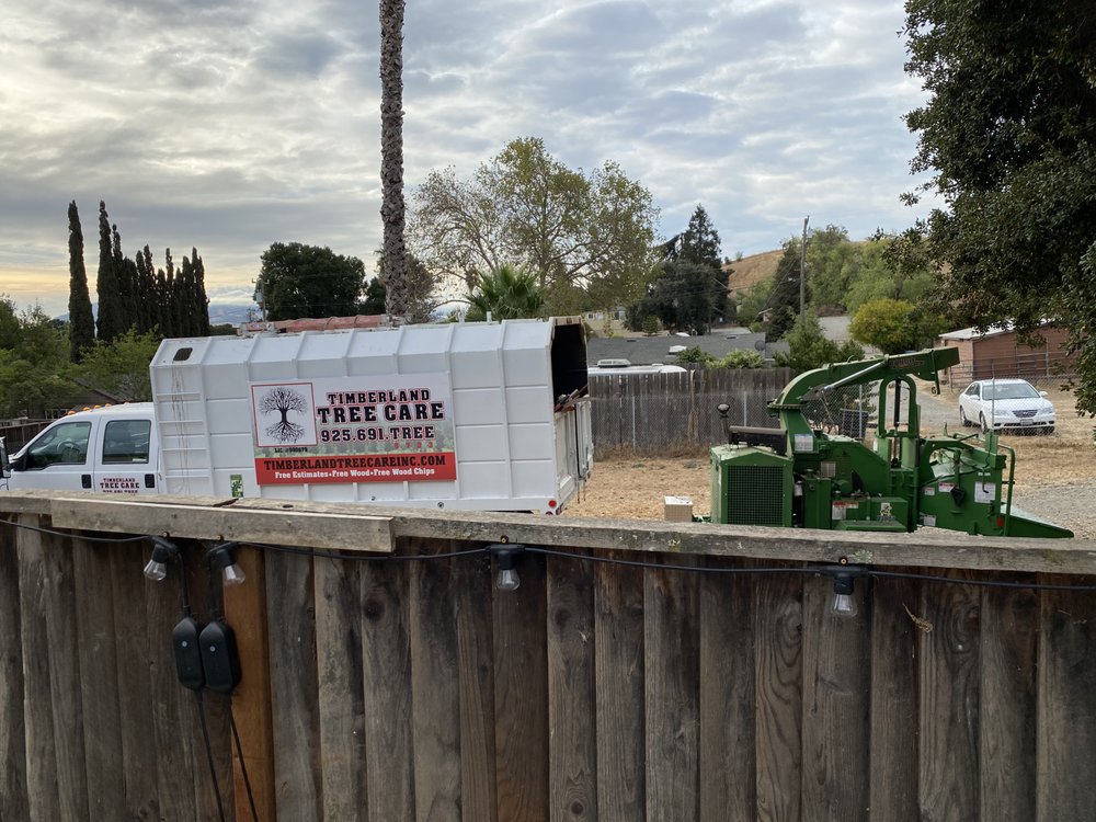 TIMBERLAND TREE CARE - Updated October 2024 - 53 Photos & 94 Reviews ...