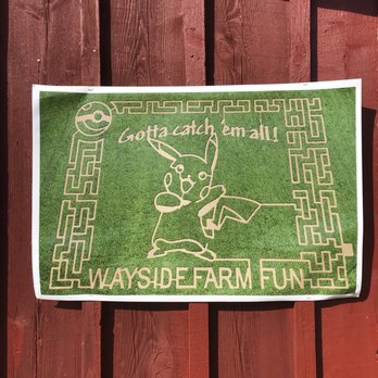 WAYSIDE FARM FUN - Updated October 2025 - 48 Photos & 16 Reviews - 5273 ...