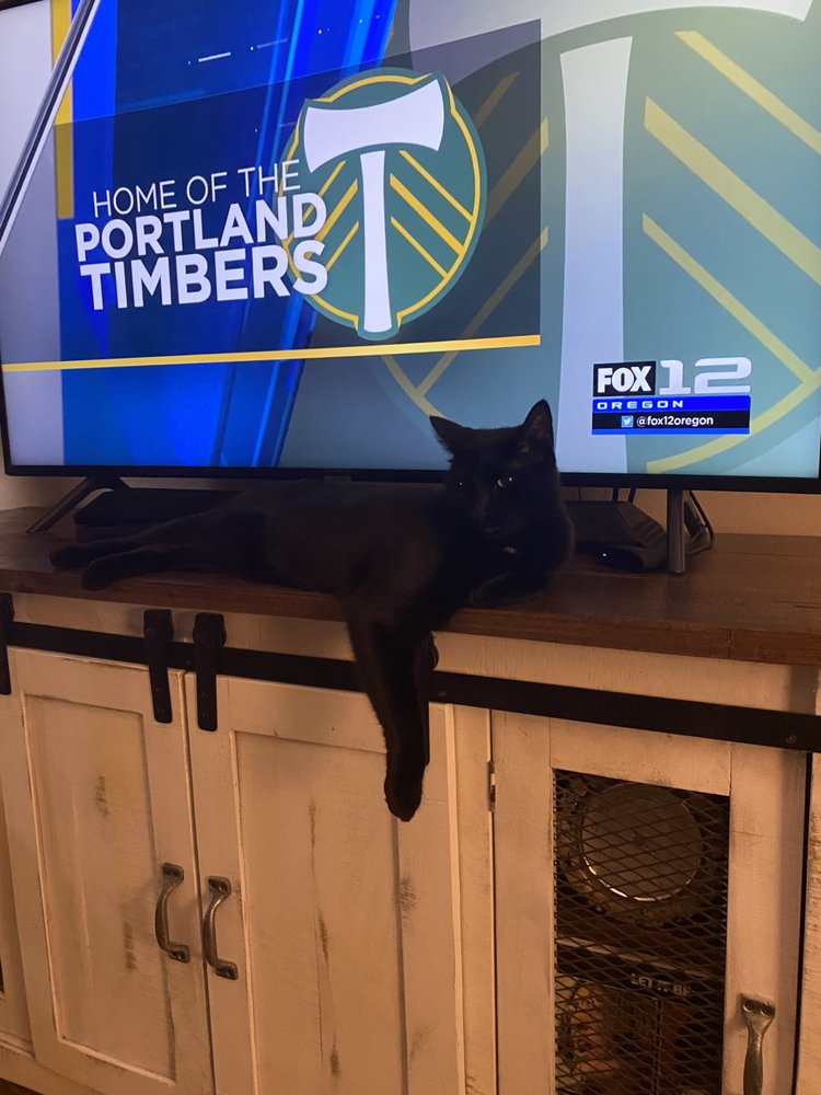 KPDX UPN 49 & KPTV FOX 12 OREGON - Updated August 2025 - 14975 NW ...