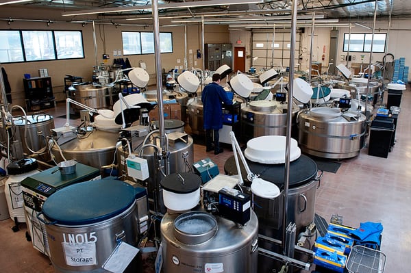 CALIFORNIA CRYOBANK - Updated December 2025 - 23 Photos & 95 Reviews ...
