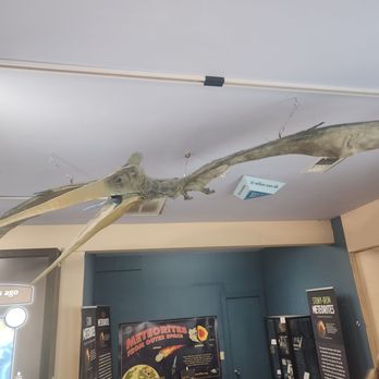 DINOSAUR RIDGE - Updated April 2025 - 572 Photos & 183 Reviews - 16831 ...