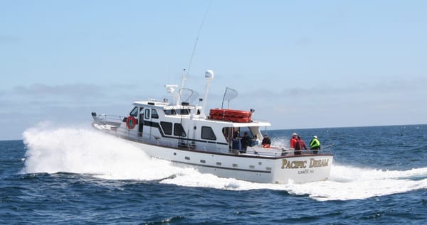 PACIFIC SALMON CHARTERS - Updated December 2025 - 23 Photos & 28 ...