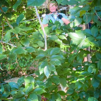 GO APE ZIPLINE & ADVENTURE PARK - Updated March 2025 - 126 Photos & 88 ...