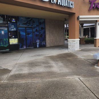 FLOATING SEA AQUATICS - Updated November 2025 - 290 Photos & 63 Reviews ...