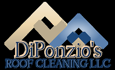 DIPONZIO’S ROOF CLEANING - Updated August 2025 - Longwood, Florida ...