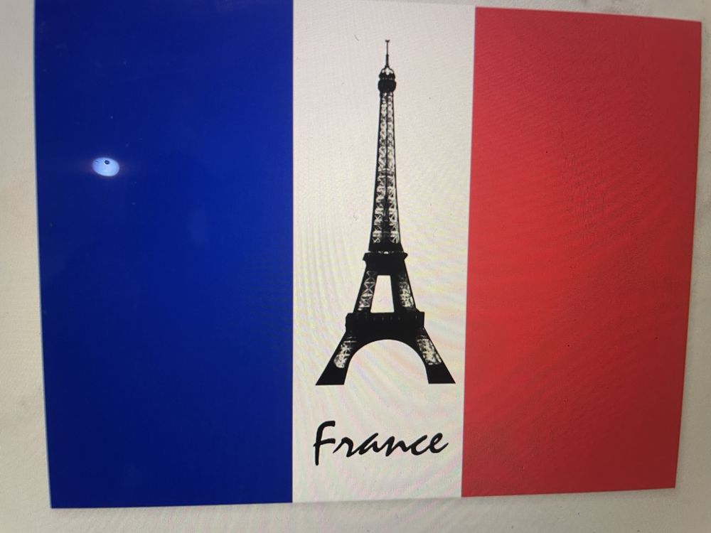 BIG APPLE TUTOR AND TRANSLATION - Updated February 2025 - Request Information - Palm Beach ...