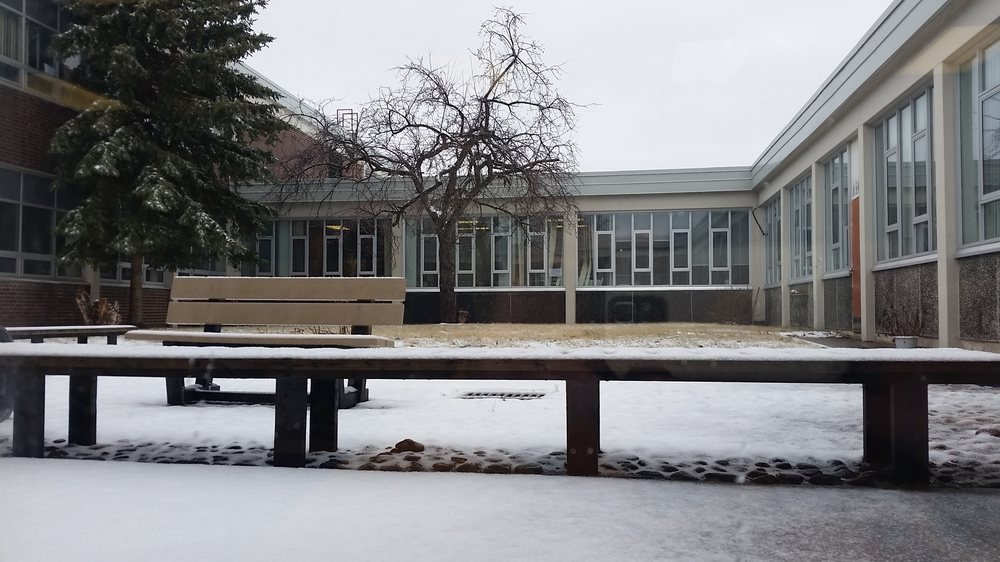 BAYVIEW SECONDARY SCHOOL - Updated May 2025 - 10077 Bayview Avenue ...