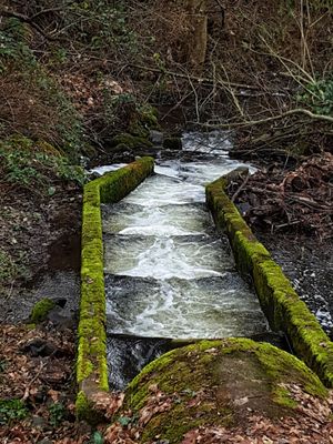 FAIRHAVEN PARK - Updated September 2025 - 24 Photos - 2222-2298 ...