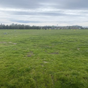 SKYLINKS AT BUCHANAN FIELDS GOLF COURSE - Updated May 2025 - 298 Photos ...