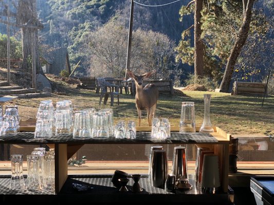 PIERPOINT BAR & GRILL - Updated December 2024 - 55 Photos & 47 Reviews ...