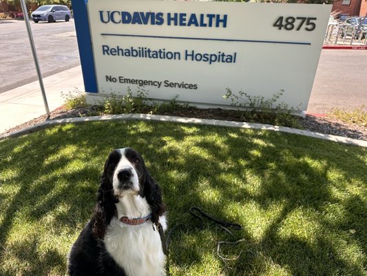 UC DAVIS REHABILITATION HOSPITAL - Updated June 2026 - 23 Photos & 12 ...