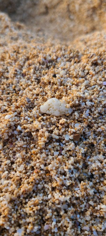 THREE TABLES BEACH - Updated July 2024 - 330 Photos & 30 Reviews - 59 ...